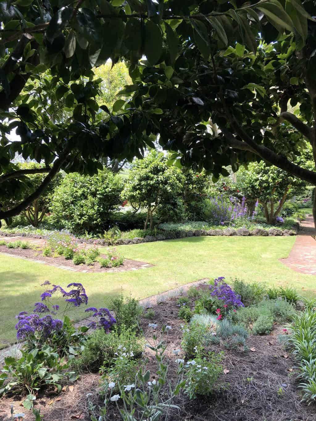 Gallery – Bason Botanic Gardens – Whanganui