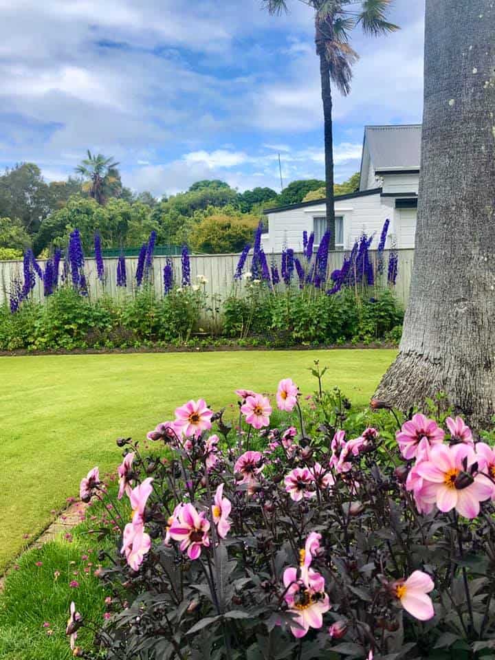 Gallery – Bason Botanic Gardens – Whanganui