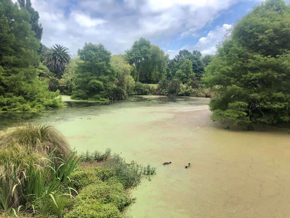Gallery – Bason Botanic Gardens – Whanganui