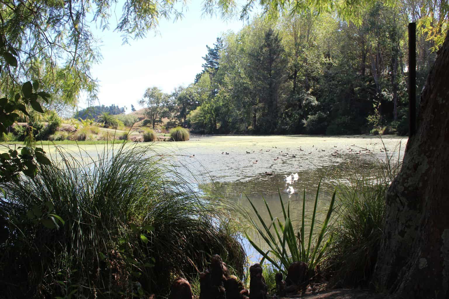 Gallery – Bason Botanic Gardens – Whanganui