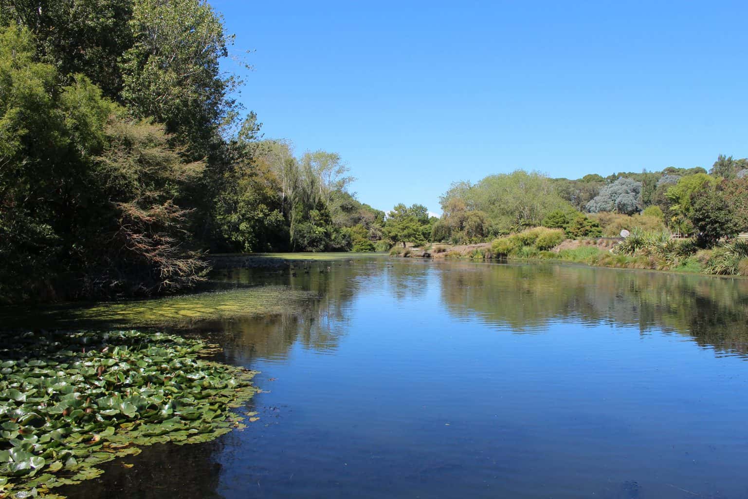 Explore Gardens - Bason Botanic Gardens - Whanganui
