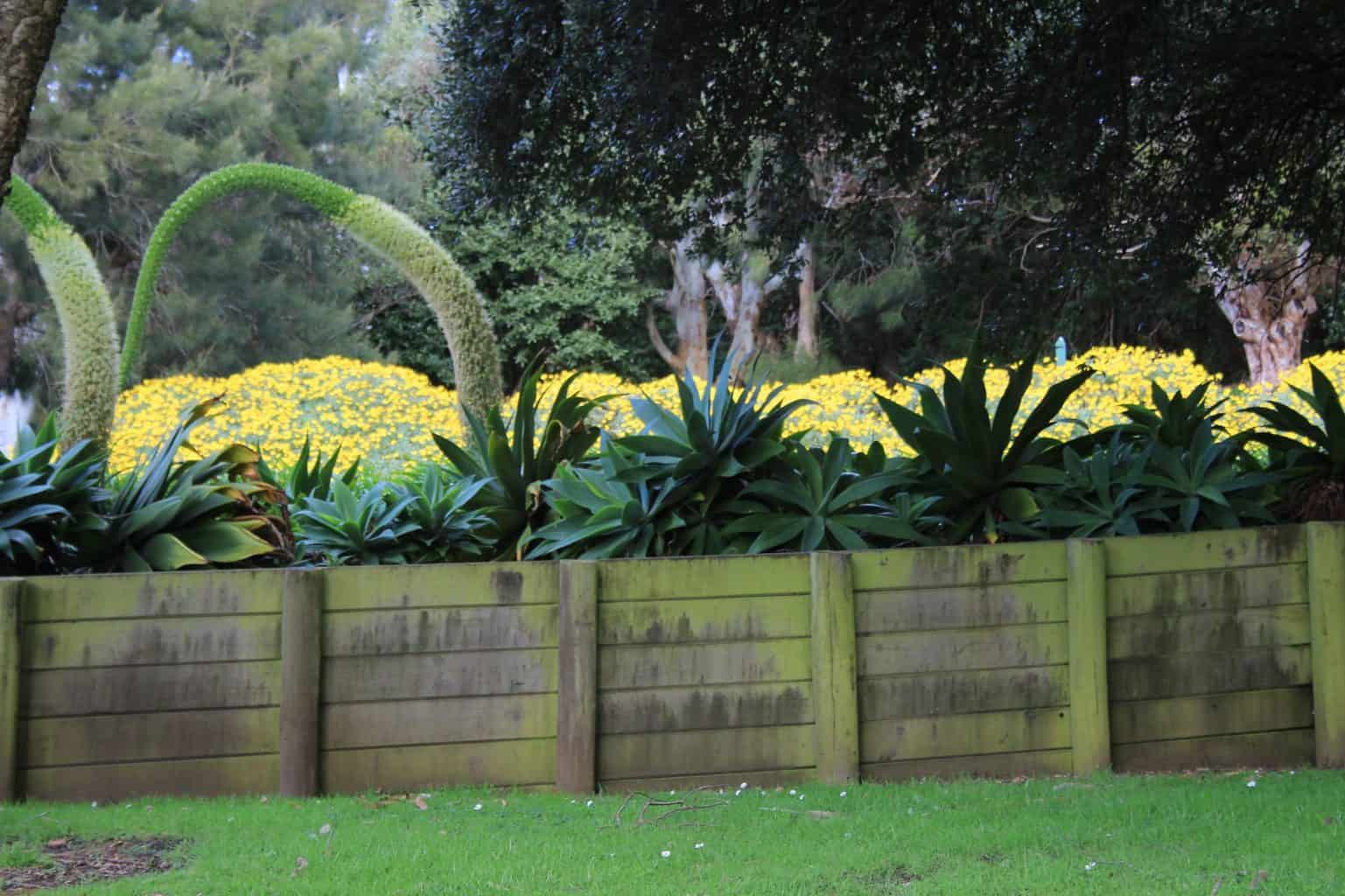 Gallery – Bason Botanic Gardens – Whanganui