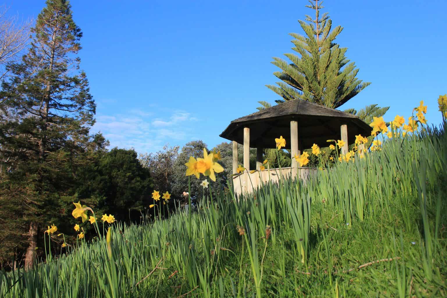 Gallery – Bason Botanic Gardens – Whanganui