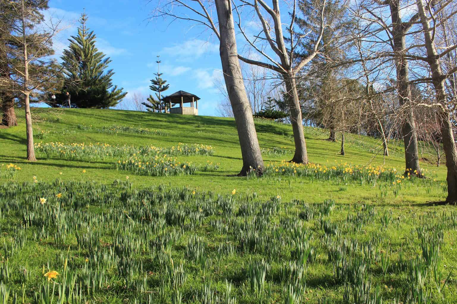 Gallery – Bason Botanic Gardens – Whanganui