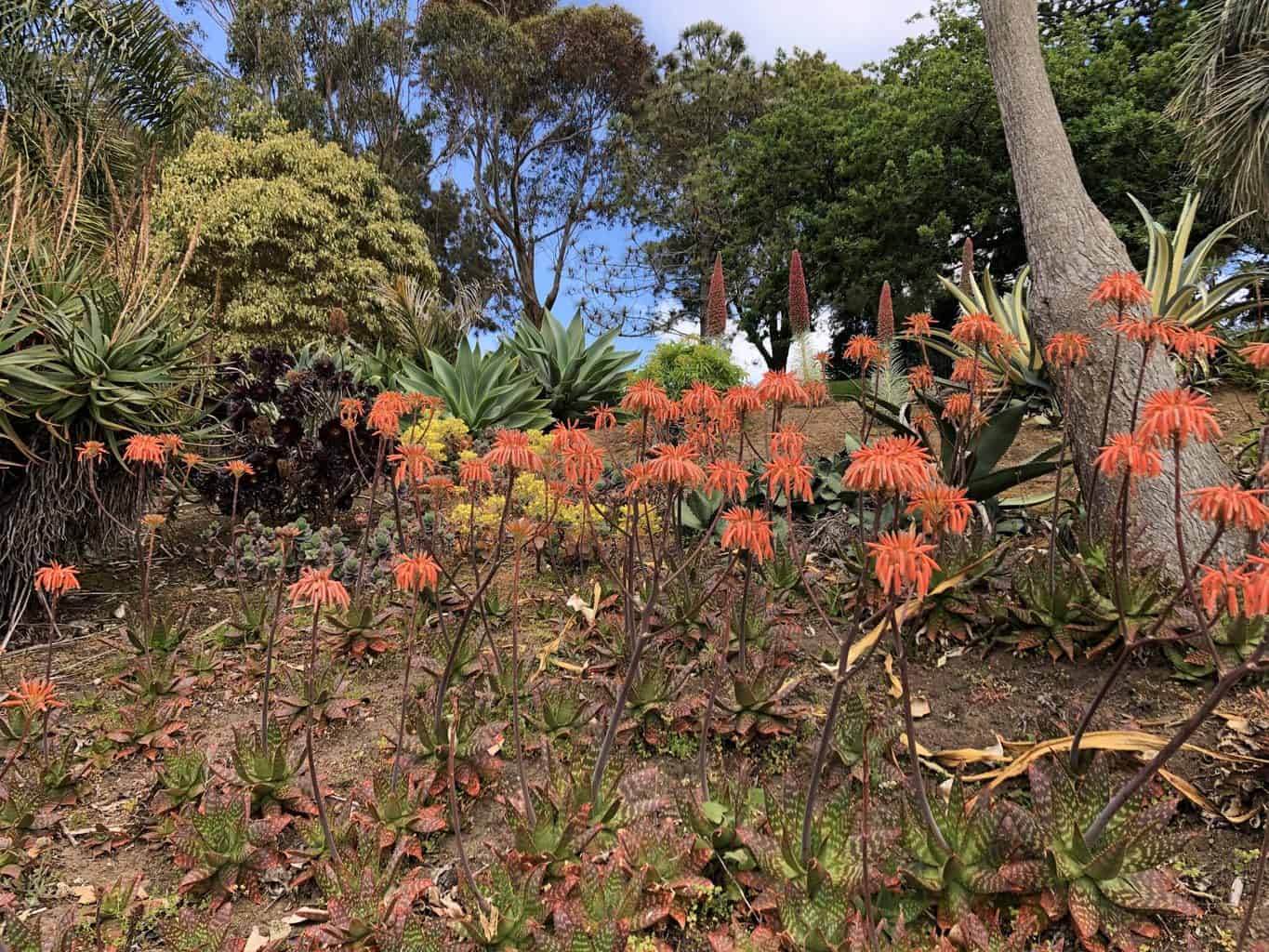 Gallery – Bason Botanic Gardens – Whanganui