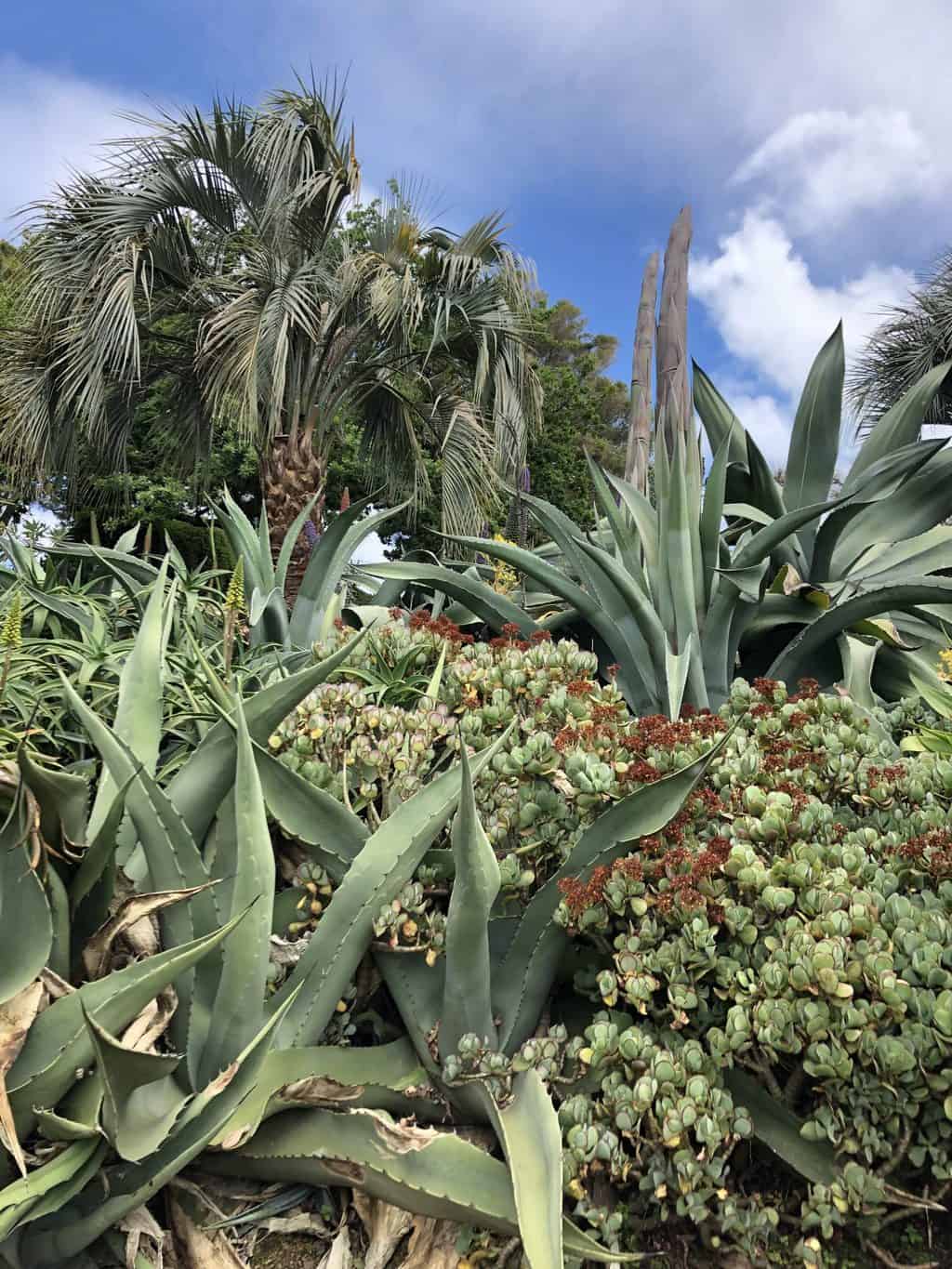 Gallery – Bason Botanic Gardens – Whanganui