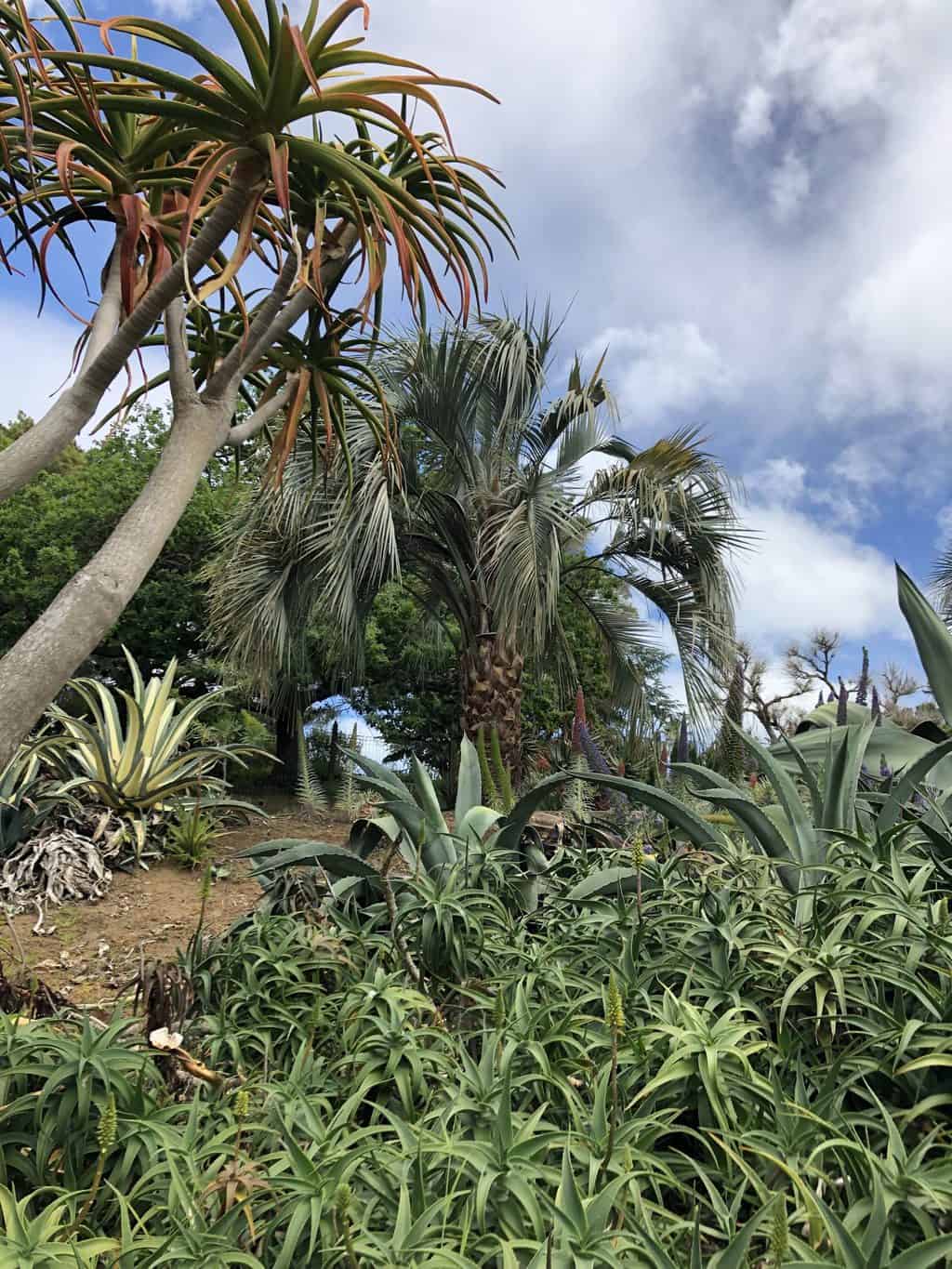 Gallery – Bason Botanic Gardens – Whanganui
