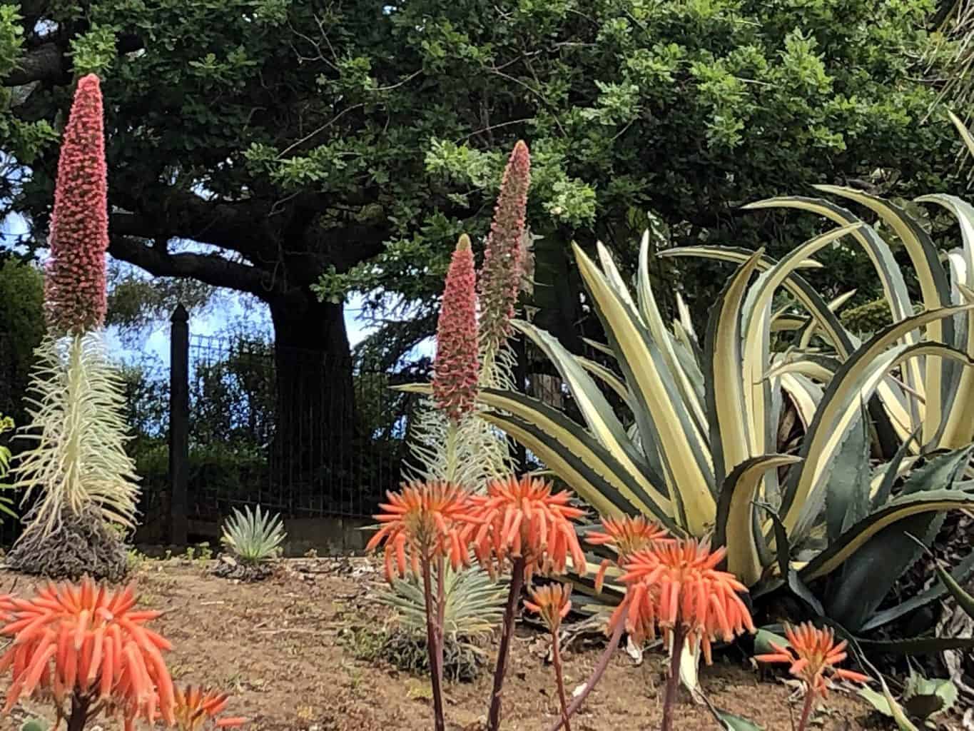 Gallery – Bason Botanic Gardens – Whanganui