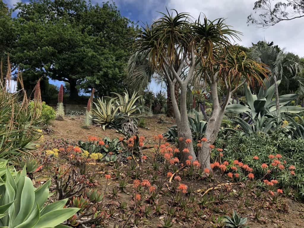 Explore Gardens - Bason Botanic Gardens - Whanganui
