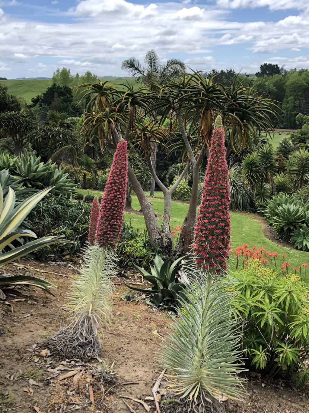 Gallery – Bason Botanic Gardens – Whanganui