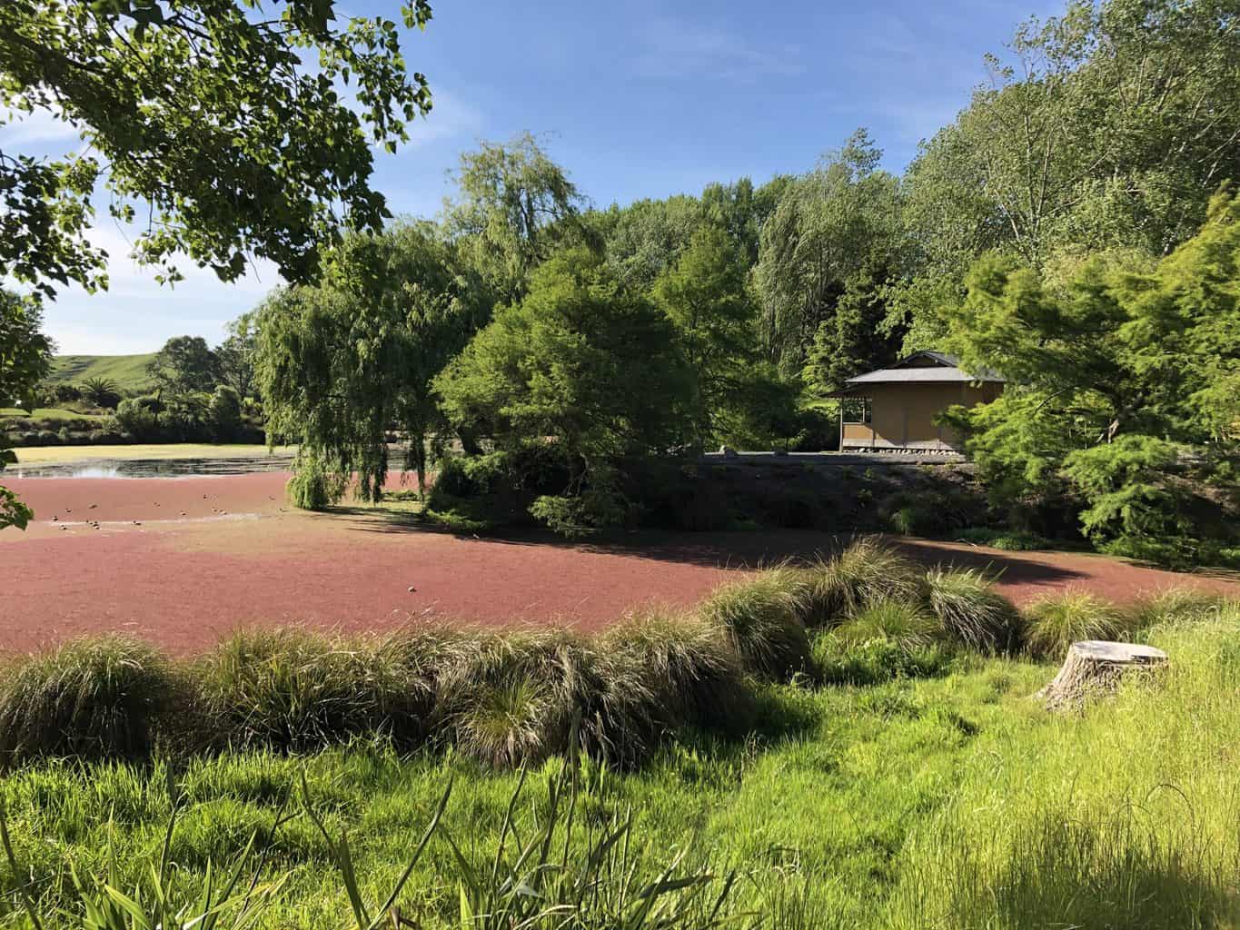 Gallery – Bason Botanic Gardens – Whanganui