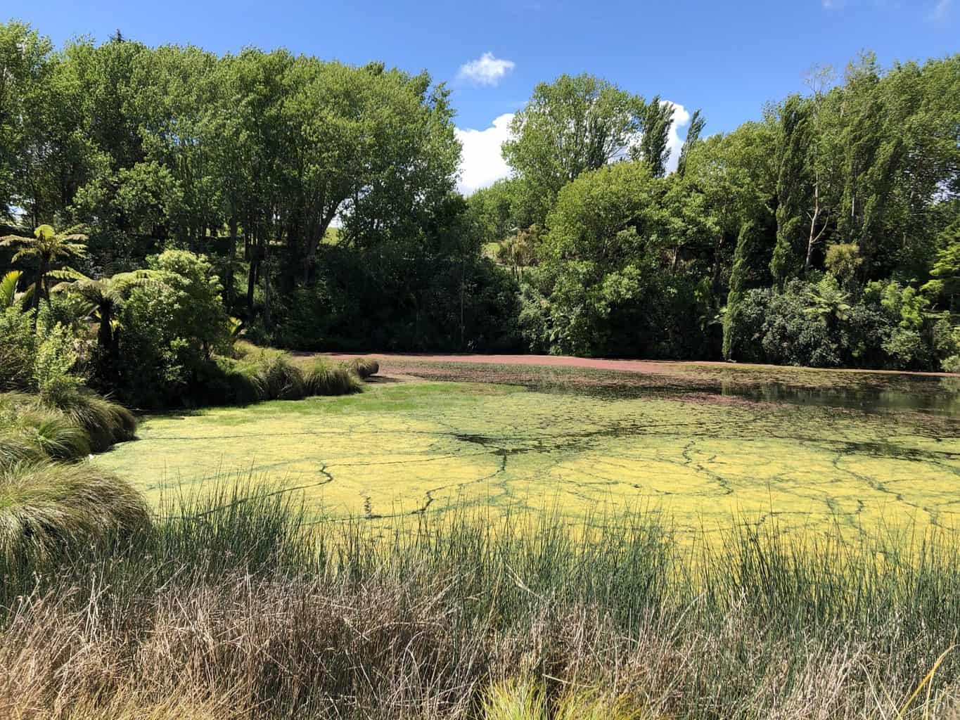 Gallery – Bason Botanic Gardens – Whanganui
