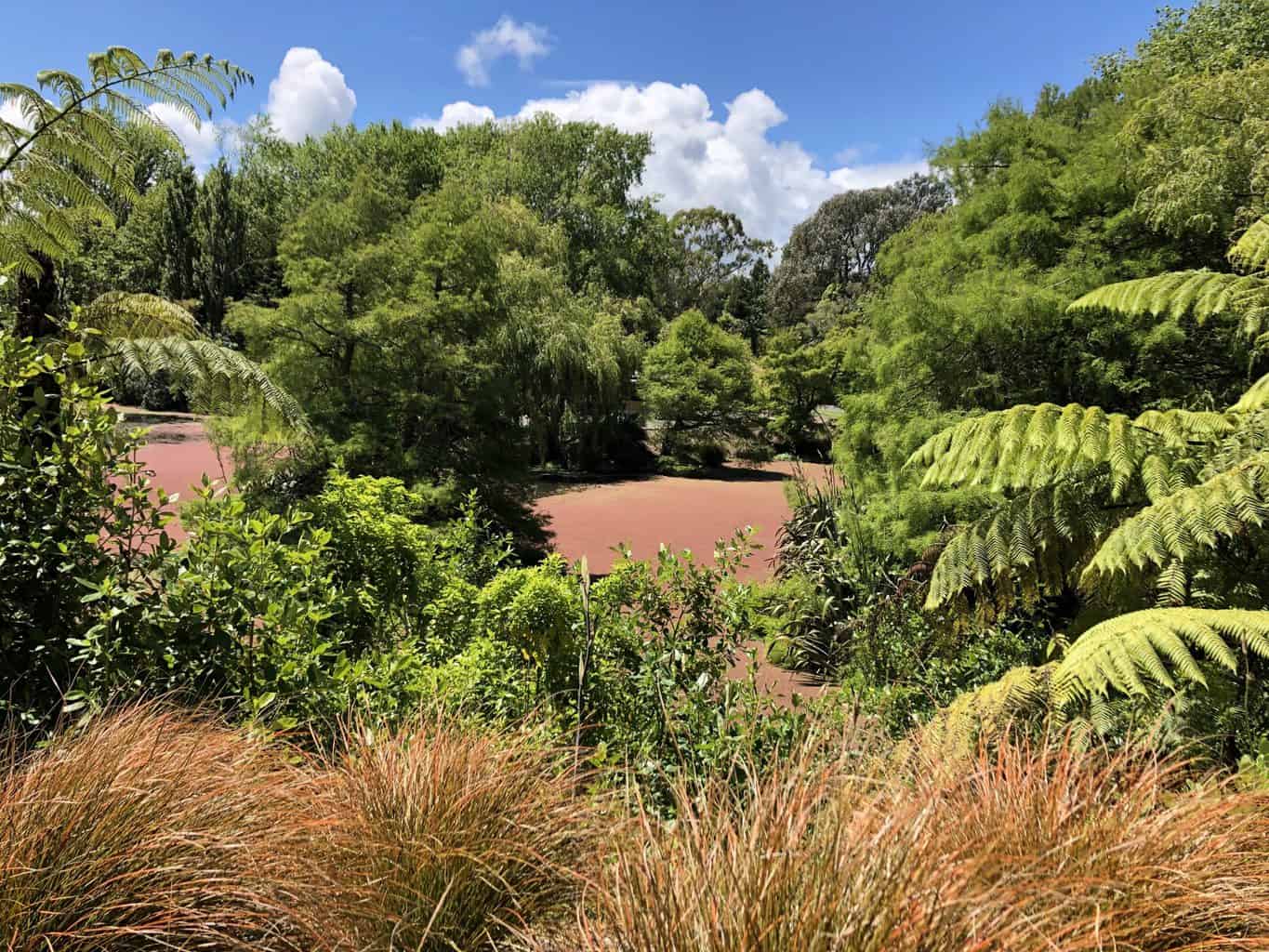 Gallery – Bason Botanic Gardens – Whanganui