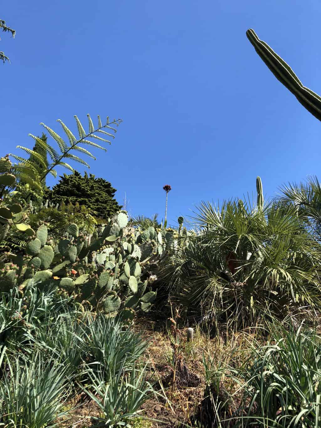 Gallery – Bason Botanic Gardens – Whanganui
