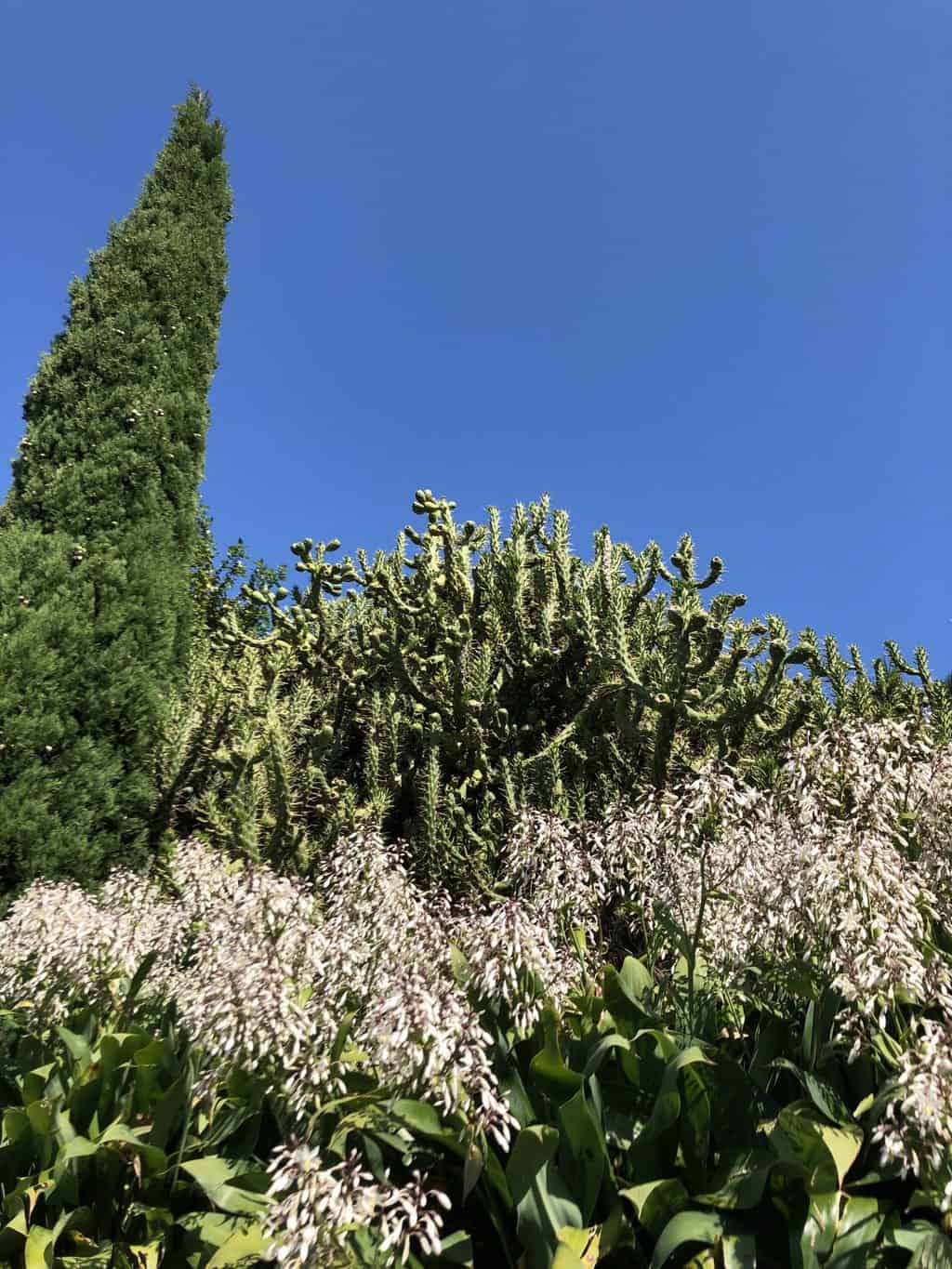 Gallery – Bason Botanic Gardens – Whanganui