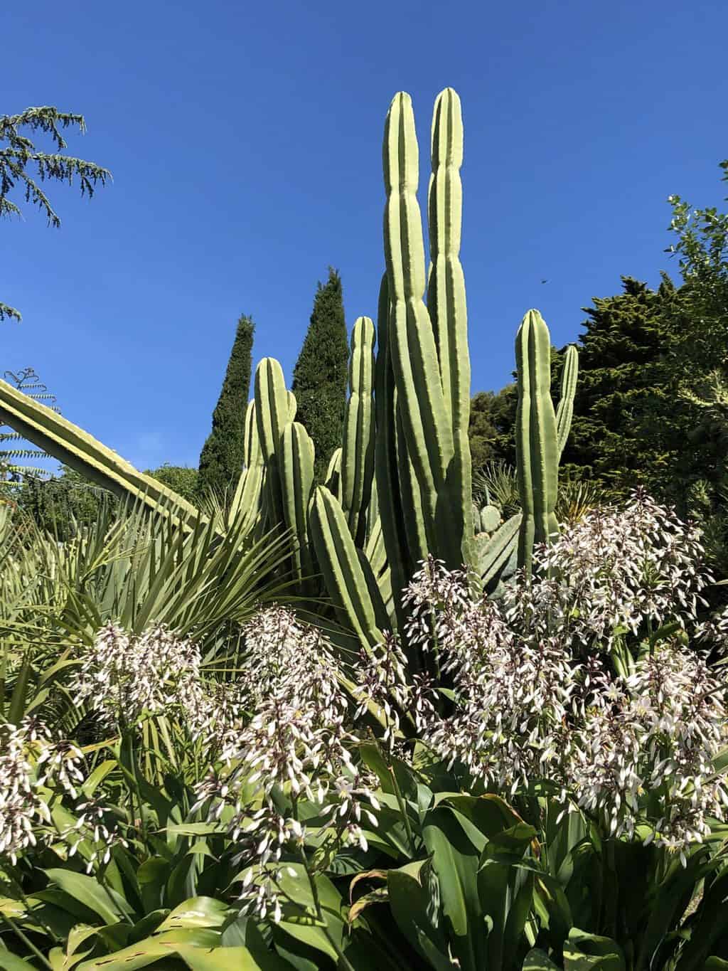 Gallery – Bason Botanic Gardens – Whanganui