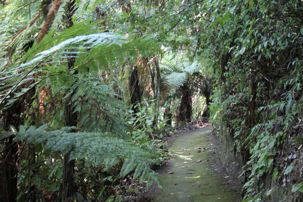 Explore Gardens - Bason Botanic Gardens - Whanganui