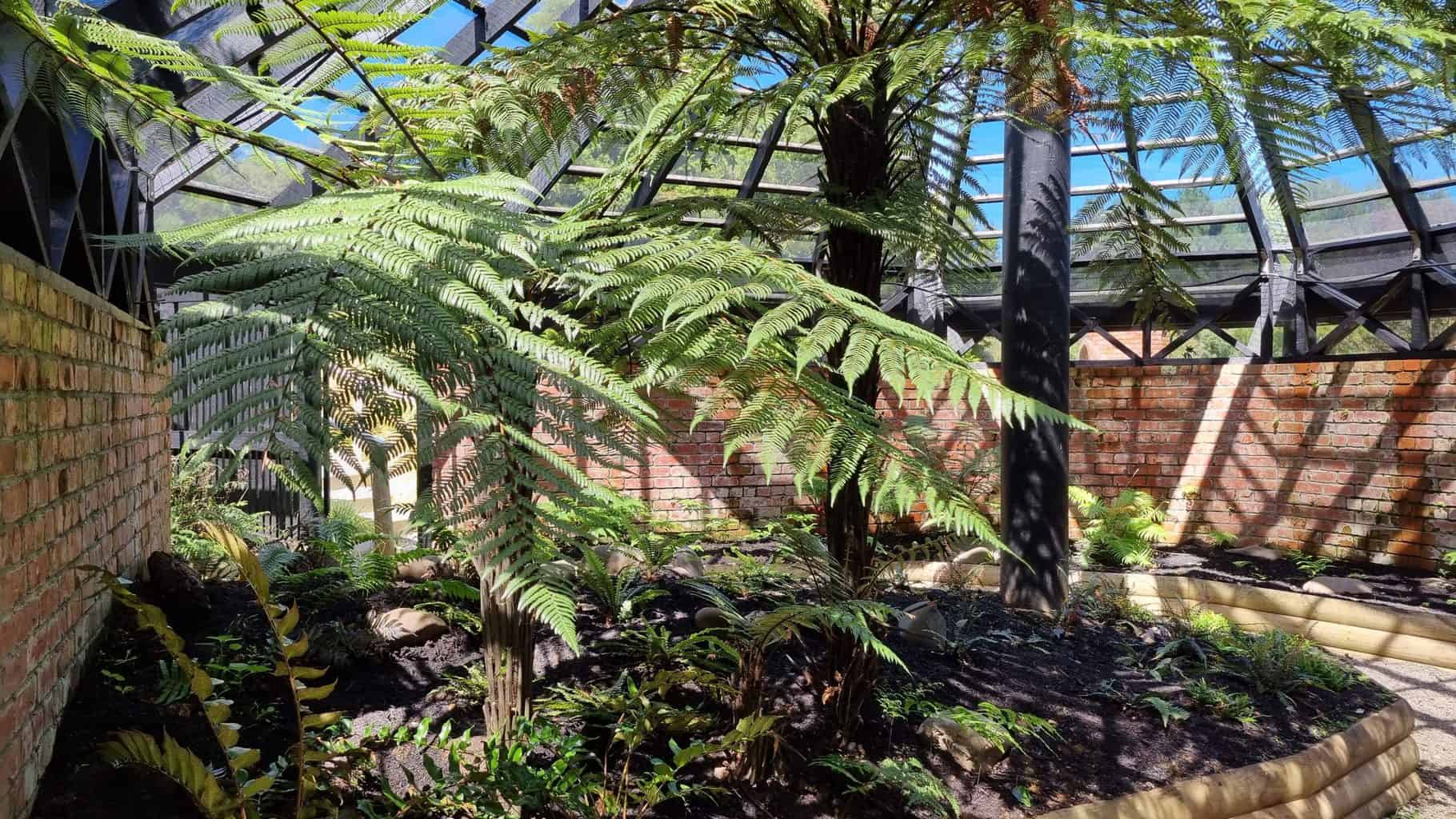 Explore Gardens - Bason Botanic Gardens - Whanganui