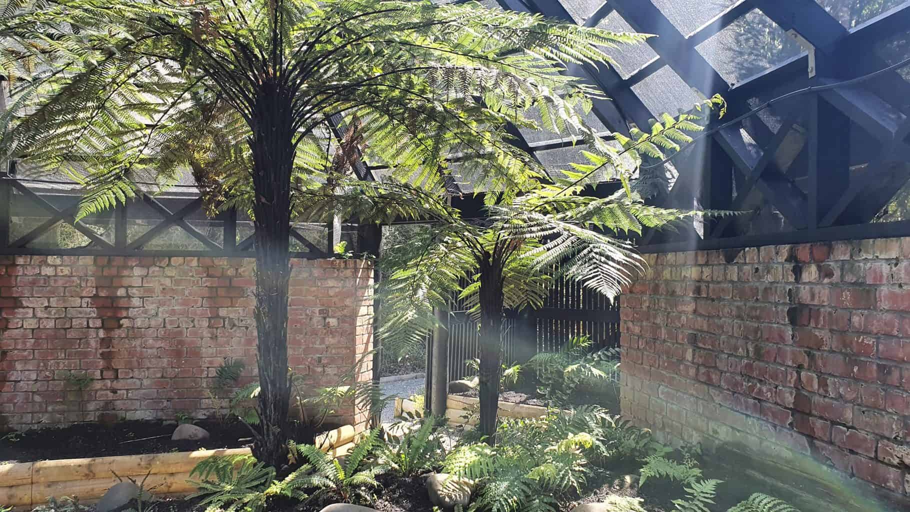Gallery – Bason Botanic Gardens – Whanganui