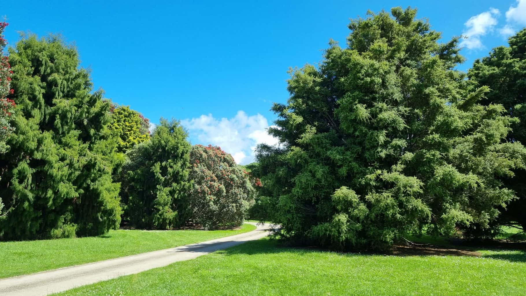 Arboretum - Bason Botanic Gardens - Whanganui