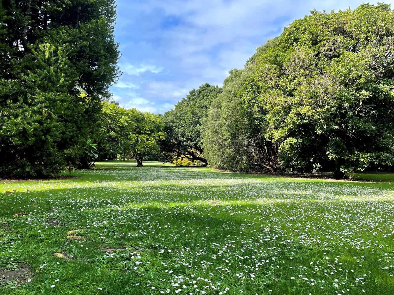 Explore Gardens - Bason Botanic Gardens - Whanganui