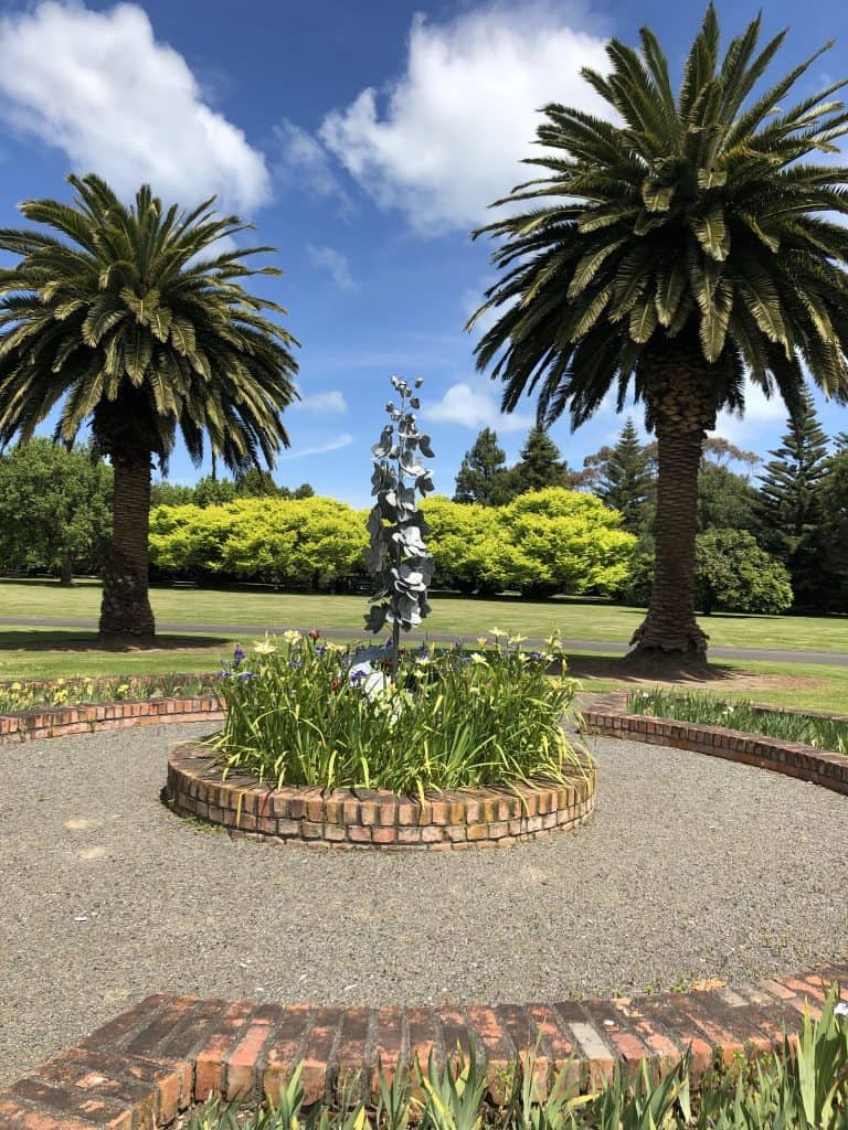 Delphinium - Bason Botanic Gardens - Whanganui