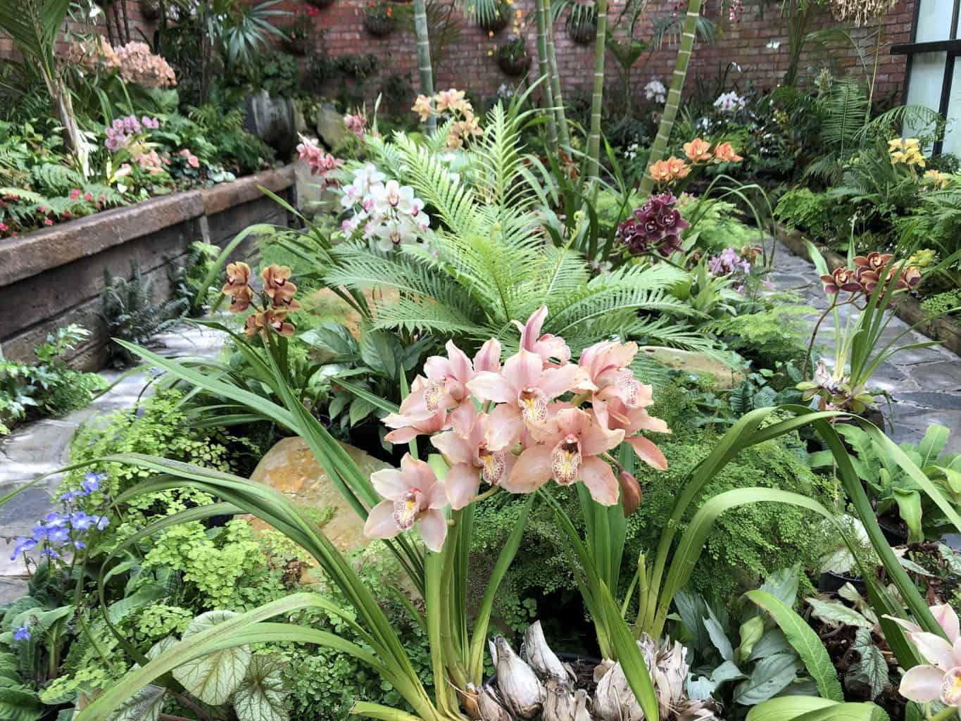 Explore Gardens - Bason Botanic Gardens - Whanganui